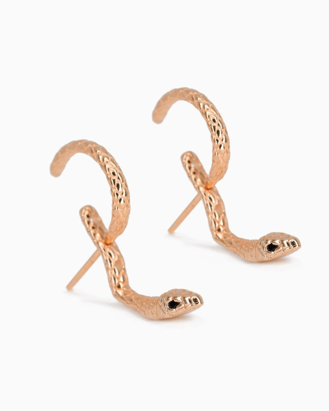 Serpent Front Back – eyrful